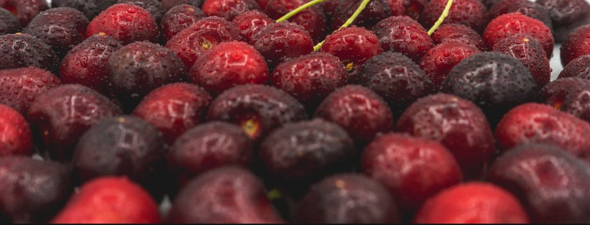 Fresh Union – FreshFood2u