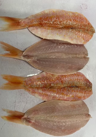 STICK. Mullet Red (Native), Scaled, Butterflied & Tail On, Whole 100-3 ...