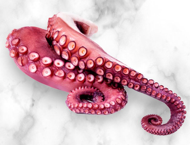 STICK. Octopus Cooked Legs/Tentacles FZ 100-150g - 1kg – FreshFood2u