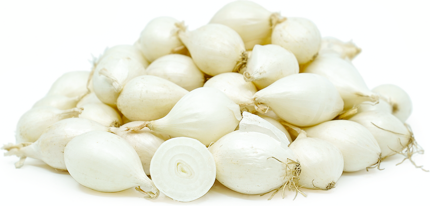 SUP. Onions button 5 Kilo Box – FreshFood2u
