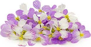 SUP. Edible Radish Flowers – FreshFood2u