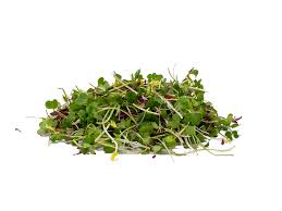 Micro Mix Cress 30gm – FreshFood2u